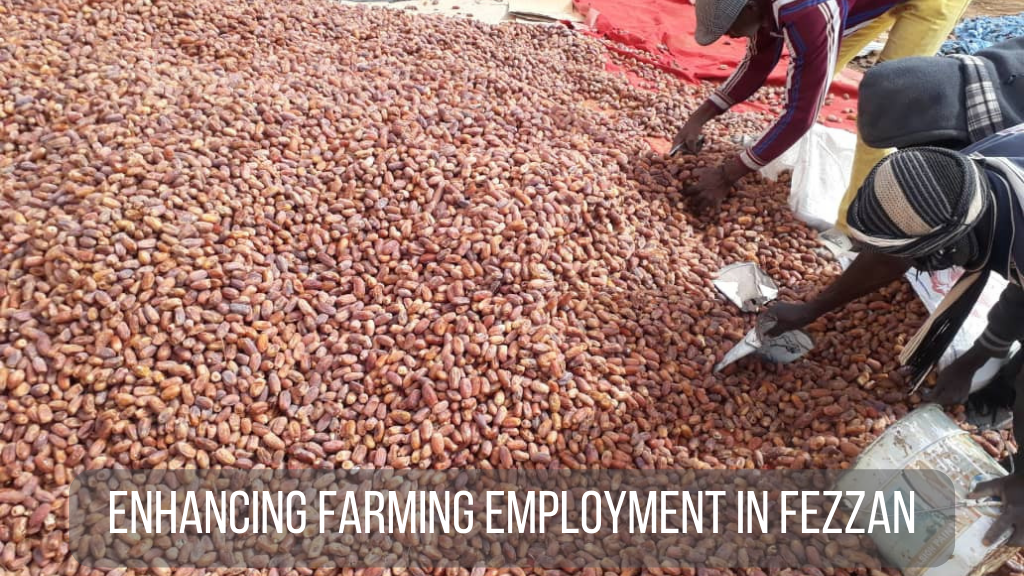 EFEF–Phase 2 - CIHEAM Bari